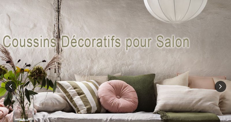 Coussins Décoratifs pour Salon